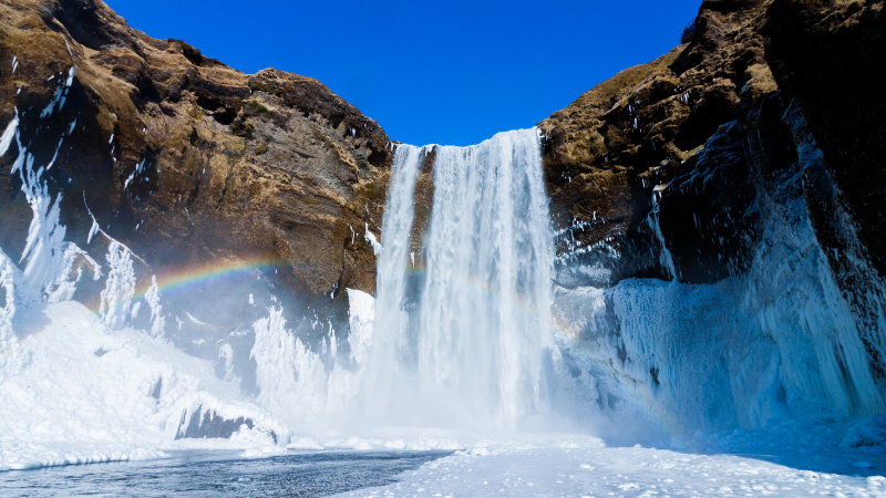 Notion, How to Design Infographics, and Tag Snag